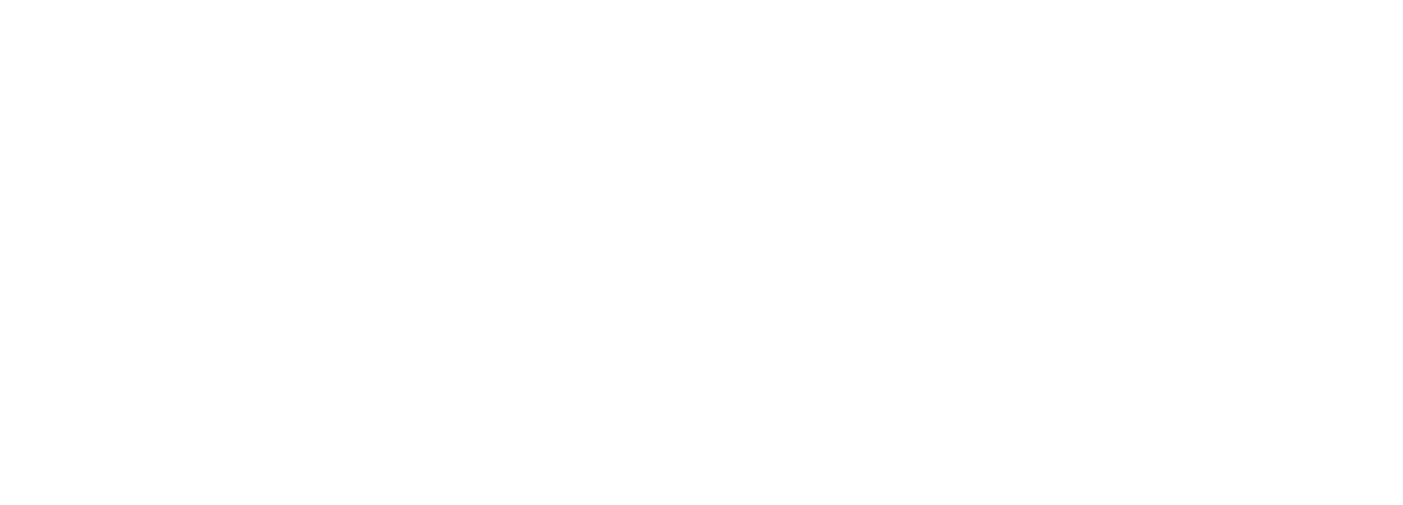 The 30-Day Cash Flow Blueprint - The Cash Flow Academy